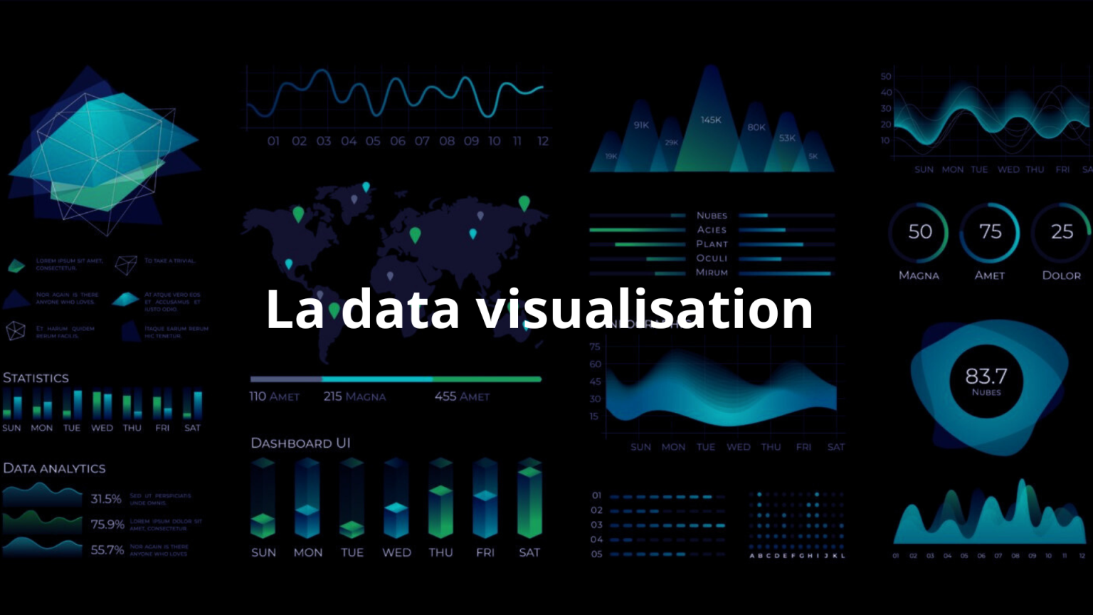 La data visualisation, un outil pour analyser ses données facilement